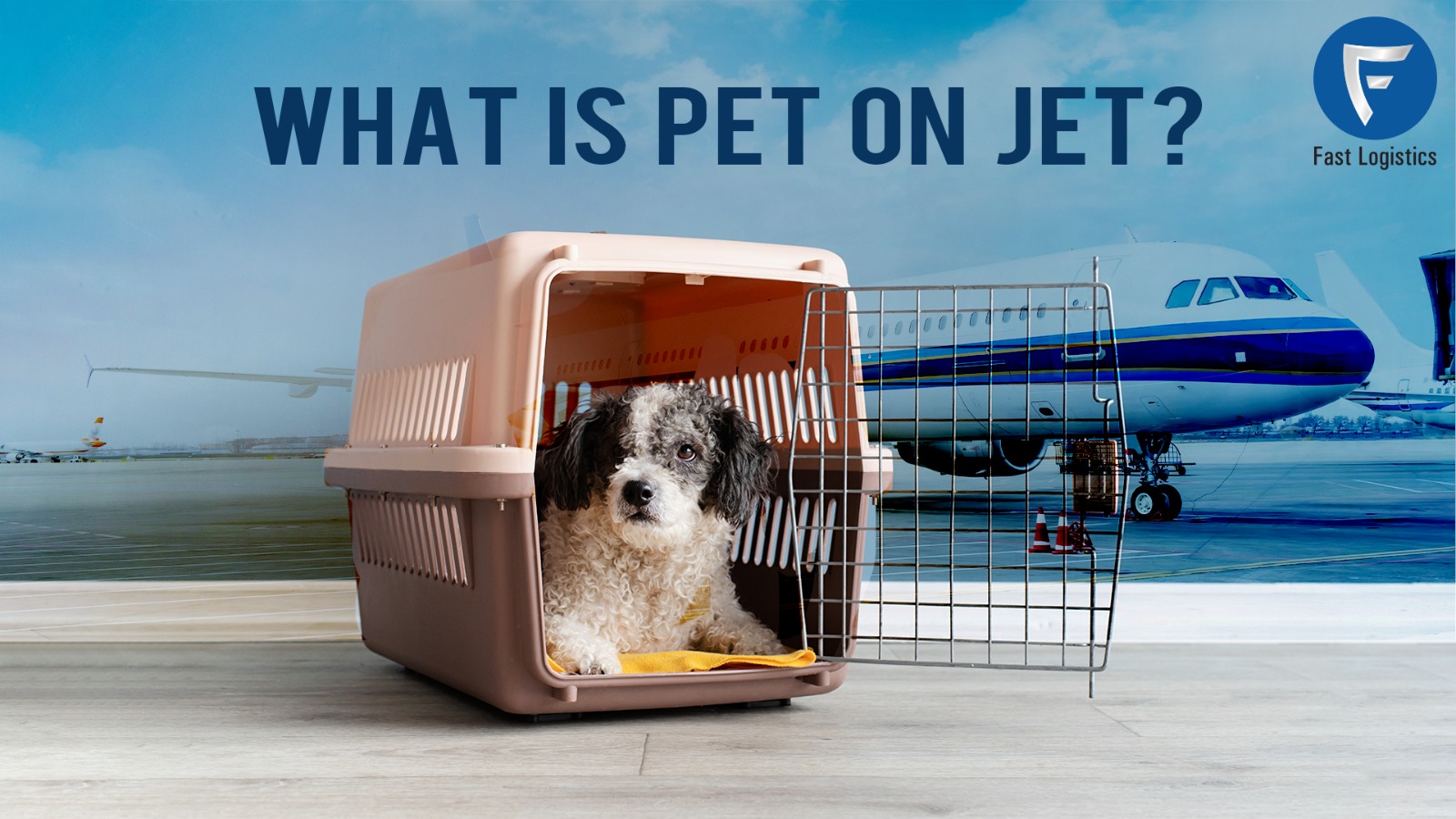 Pet on Jet - Fast Logistic Cargo